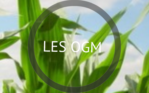 Avantages et limites de l'utilisation des OGM by Guerin Didier on Prezi