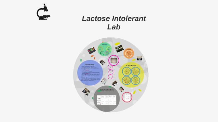 Lactose Intolerance Lab By Liz Zubeck lactose-intolerance-lab-by-liz-zubeck
