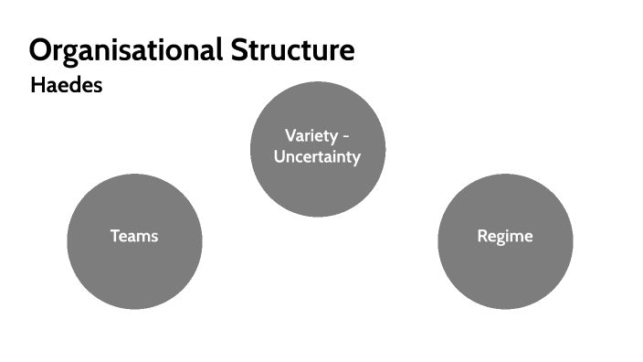 Haedes - Organisational Structure by Floris Voorthuyzen