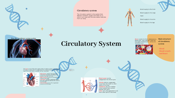 Grade 6 Unit 1 Circulatory System by Jibb John Bactol on Prezi