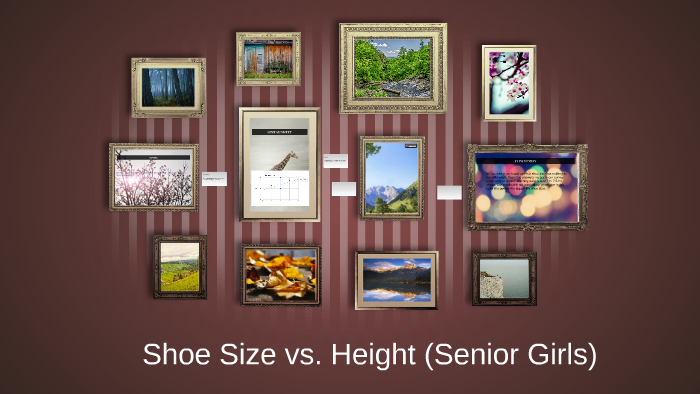 Shoe Size vs. Height by Taya Leija