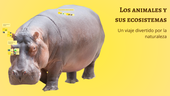 Los animales y sus ecosistemas by Jesus Antonio Diaz Martinez on Prezi