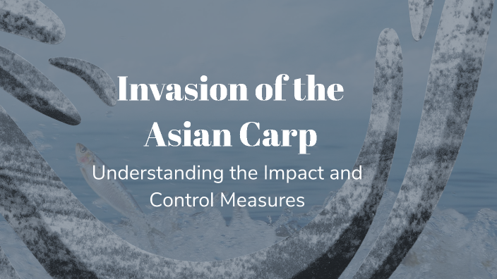 Invasive Asian Carp by Micah Antonio on Prezi