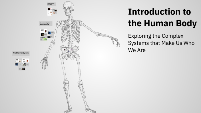 Introduction to the Human Body by Awaz Muhammad on Prezi