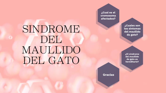 maullido de gato by Valery Angelina Calatayud Borda on Prezi