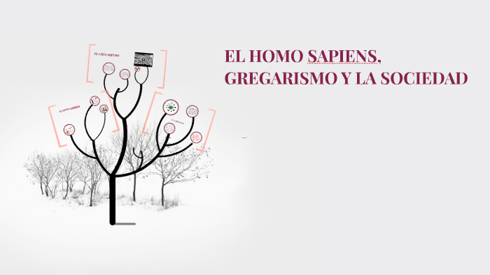 EL HOMO SAPIENS, GREGARISMO Y LA SOCIEDAD by David Villa Llaique on Prezi