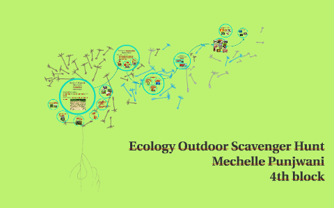 Ecology Outdoor Scavenger Hunt by on Prezi