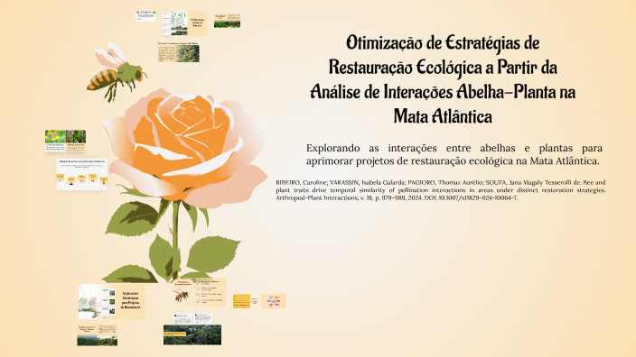 Otimização de Estratégias de Restauração Ecológica a Partir da Análise ...
