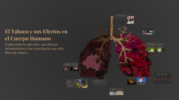 El Tabaco y sus Efectos en el Cuerpo Humano by Camila Escorcia on Prezi