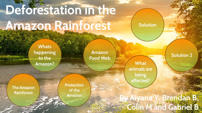 Deforestation In The Amazon Rain Forest - Ecology Science Project by ...