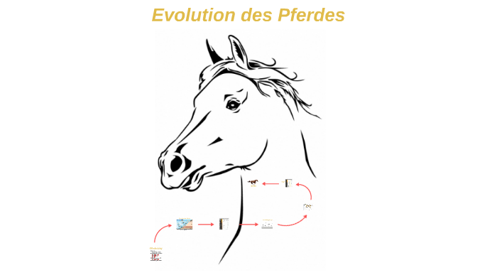 Evolution des Pferdes by Marie Knopf on Prezi