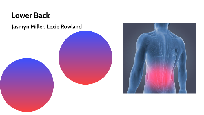 Lower Back Anatomy by Jasmyn Miller on Prezi