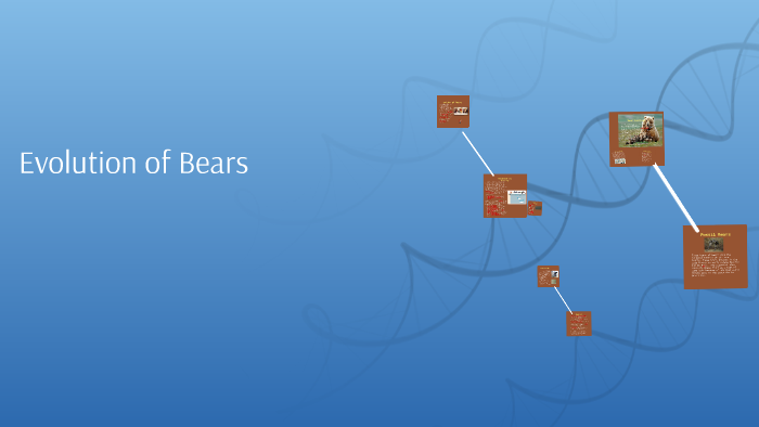 Evolution of Bears by Steven Angel on Prezi