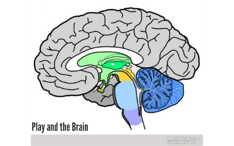 Play and the Brain by Whitney Jordan on Prezi