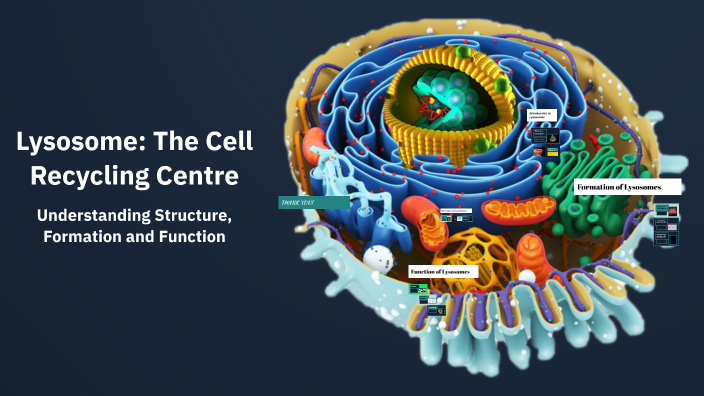 Lysosome: The Cell Recycling Centre by A K on Prezi