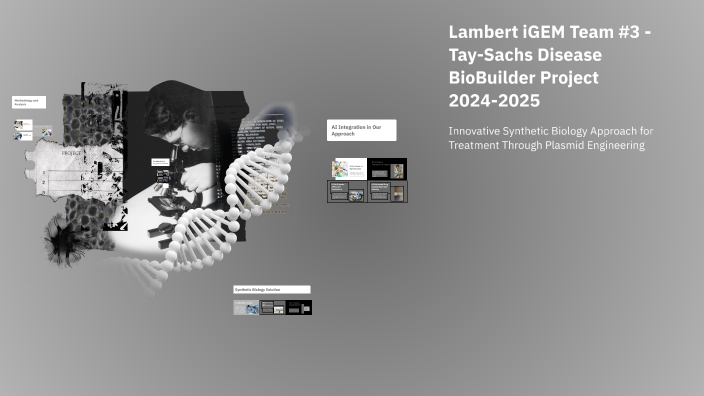 Lambert iGEM Team #3 - Tay-Sachs Disease BioBuilder Project 2024-2025 by Abhinav Dubba on Prezi