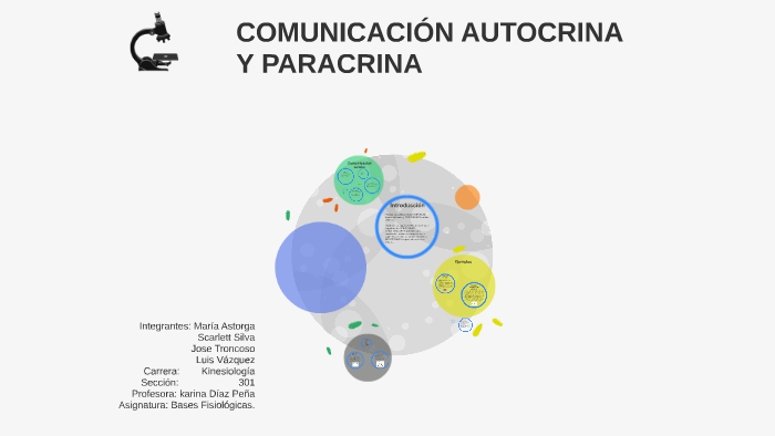 Comunicación parocrina y autocrina by Maria Astorga on Prezi