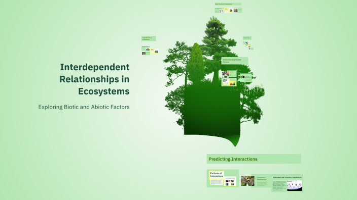 Interdependent Relationships in Ecosystems by Norelyn Data on Prezi