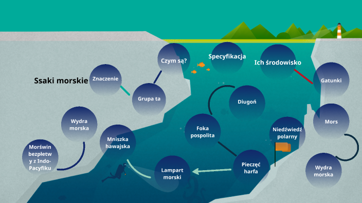 Ssaki morskie by Magda Syska on Prezi