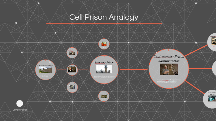 Cell Prison Analogy by Miguel Montalvo