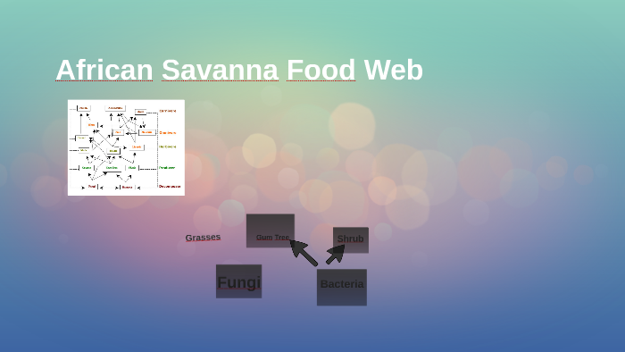 African Savanna Food Web by sade terrero on Prezi