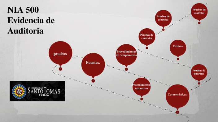 NIA 500 Evidencia de Auditoria by Luz Amanda HEREDIA AVELLANEDA on Prezi