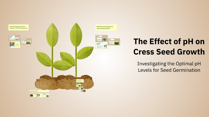 The Effect of pH on Cress Seed Growth by Lucy Tomlinson on Prezi