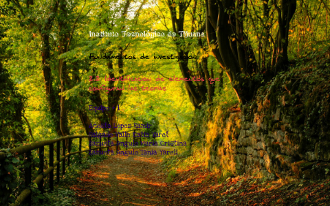 fundamentos de investigacion by katia salgado valle