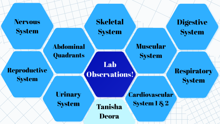 Anatomy & Physiology Lab Practicals by Tanisha Deora on Prezi