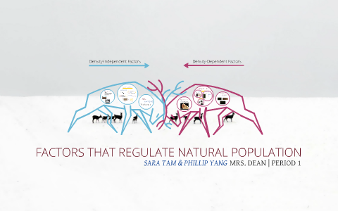 Factors That Regulate Natural Populations by Phillip Yang on Prezi