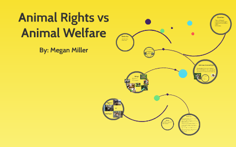 Animal Rights vs Animal Welfare by Megan Miller on Prezi