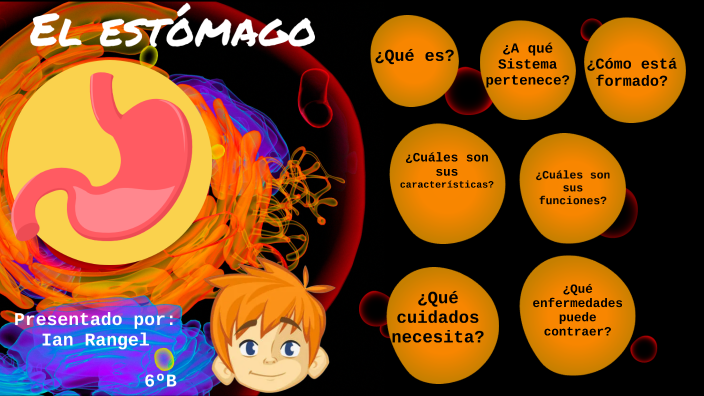El Estómago - Ian Rangel 6ºB by Zuleika Rangel on Prezi