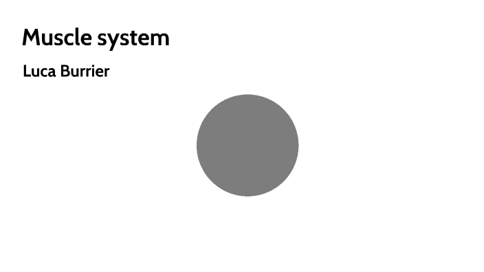 Muscle system by Luca Burrier on Prezi