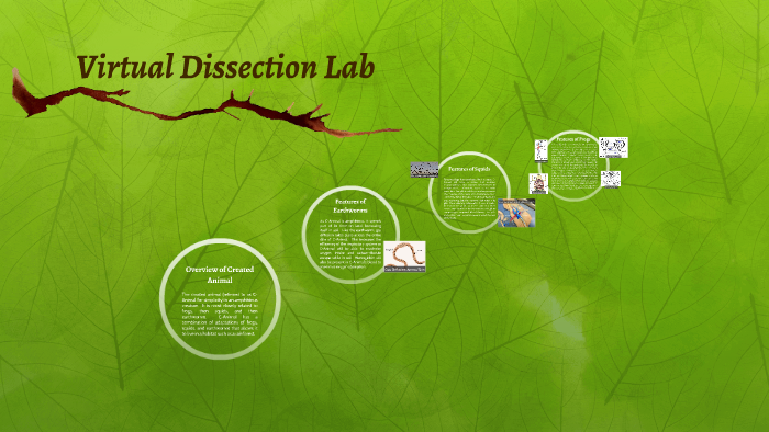Virtual Dissection Lab Portfolio by Megan Soll