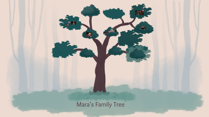 Family Tree ASL by Mara Lee on Prezi