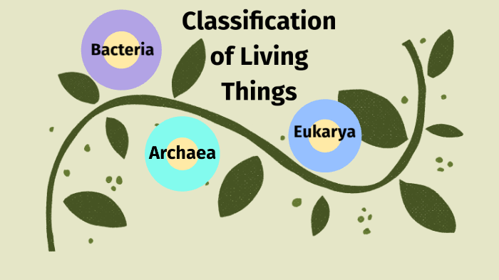 Classification of Living Things by Krista Bjork on Prezi