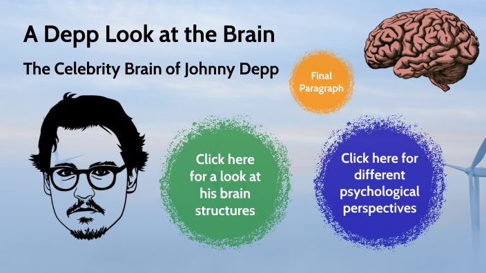 A Depp Look at the Brain by s d on Prezi