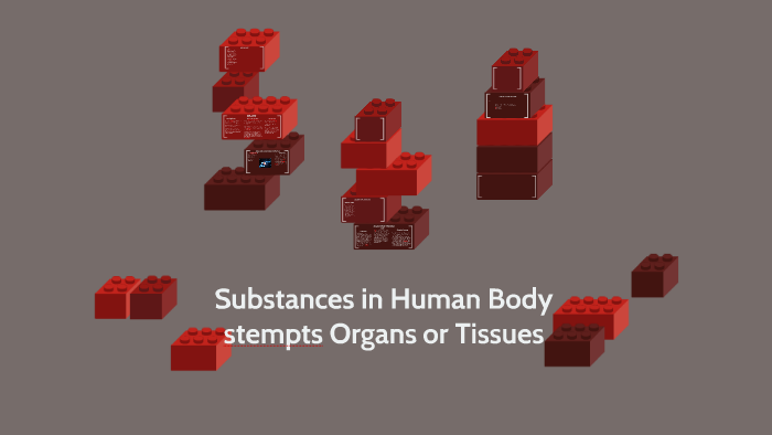 Substances in Human Body stempts Organs or Tissues by Pau de Zamacona ...