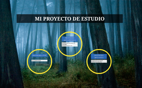 MI PROYECTO DE ESTUDIO by jeisson oviedo on Prezi