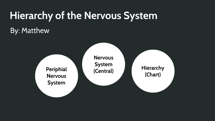 Nervous System Mapping by MATTHEW HOWE on Prezi