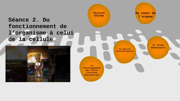 Du fonctionnement de l'organisme au fonctionnement de la cellule by ...