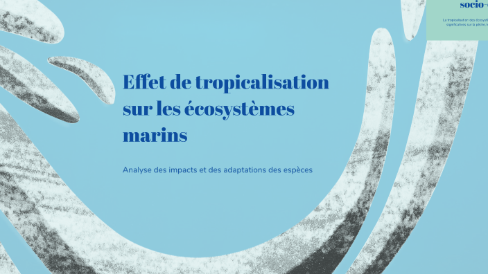 Effet de tropicalisation sur les écosystèmes marins by lyna trk on Prezi