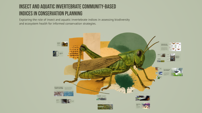 Insect and Aquatic Invertebrate Community-Based Indices in Conservation ...
