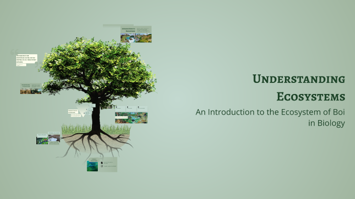 Understanding Ecosystems by arham ali on Prezi