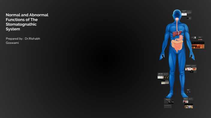 Understanding the Stomatognathic System by Rishabh Goswami on Prezi