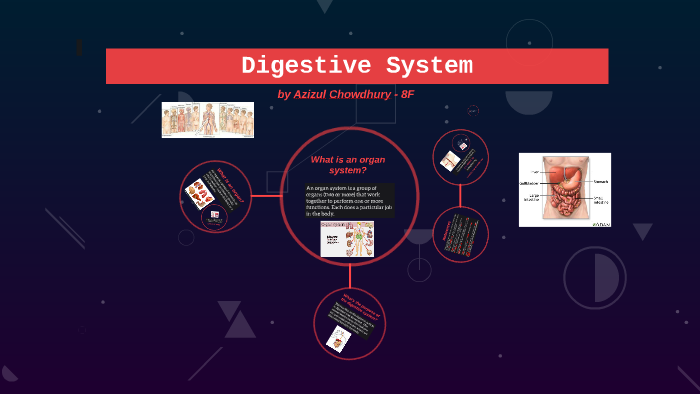 Digestive System by Azizul Chowdhury on Prezi
