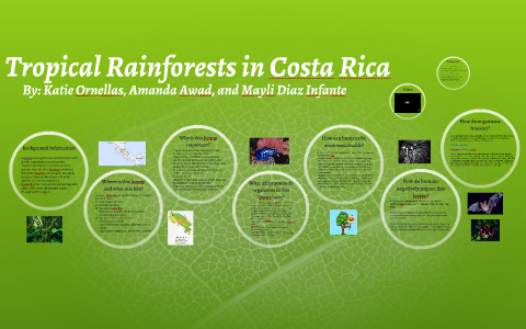 Tropical Rainforests in Costa Rica by Katie Ornellas on Prezi