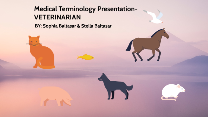 Medical Terminology Presentation- Veterinarian by Sophia Juliana ...