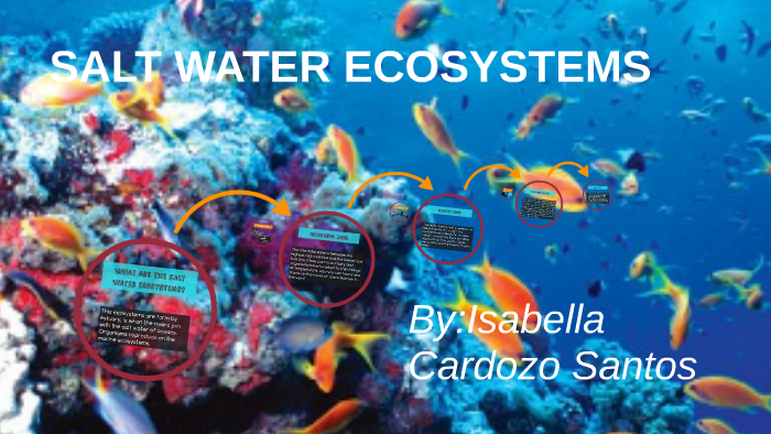 Salt water ecosystems by Paola Santos on Prezi