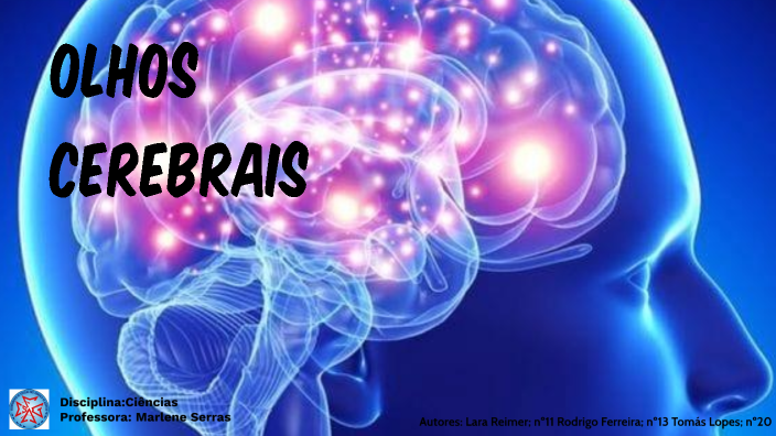 trabalho de grupo by Lara Reimer on Prezi